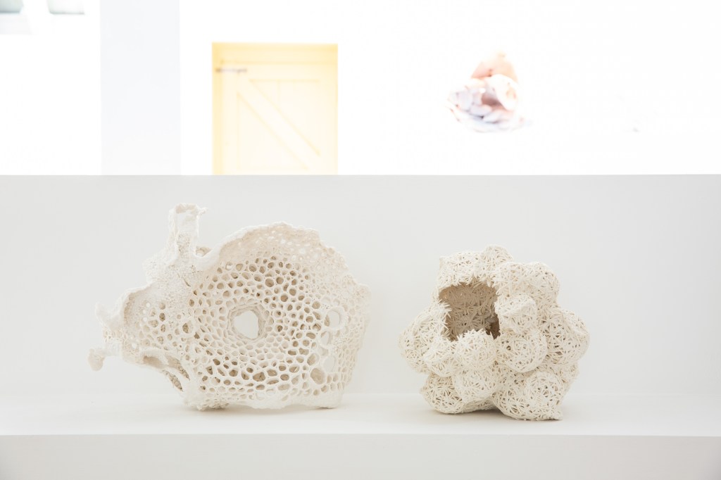 Exhibition Images | Nuala O'Donovan Artist